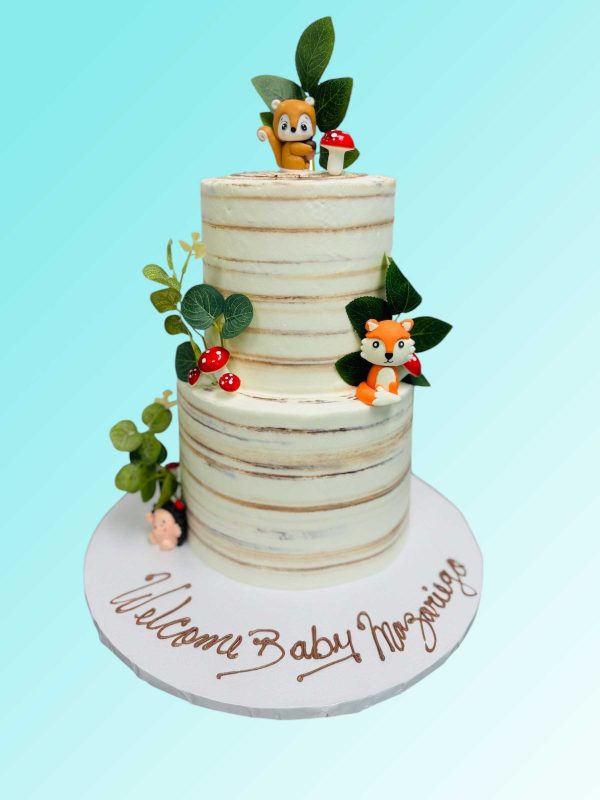 Custom : General Kids Birthday Cakes - Carousel Cakes